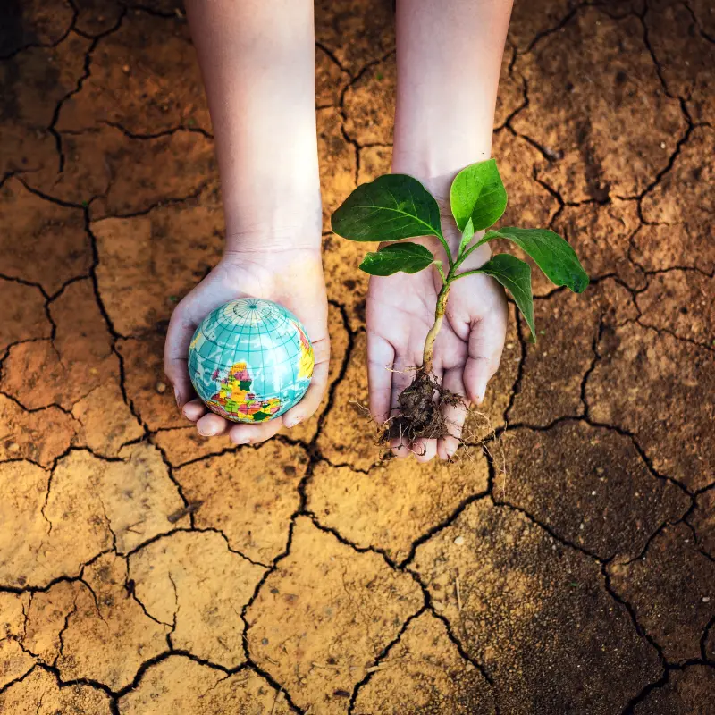 Ekonomia kontra ekologia